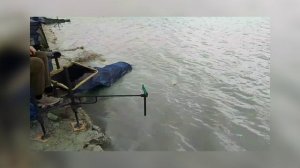 О главном. Выпуск 66