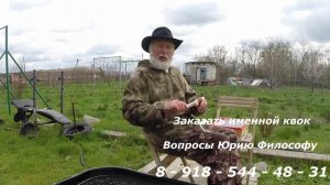 Ловим сома. Квоки  для Кончиц Максима Владимировича. г. Гомель 2025 год. От Юрия Философа