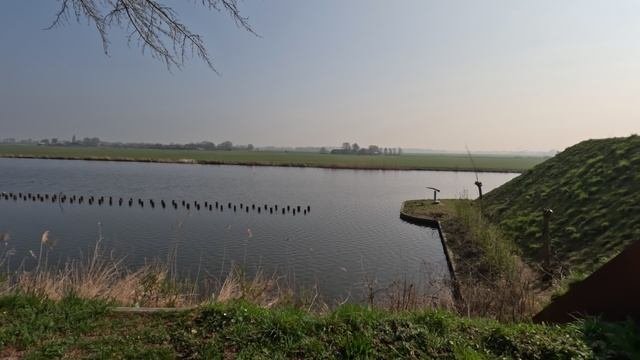 Muiden