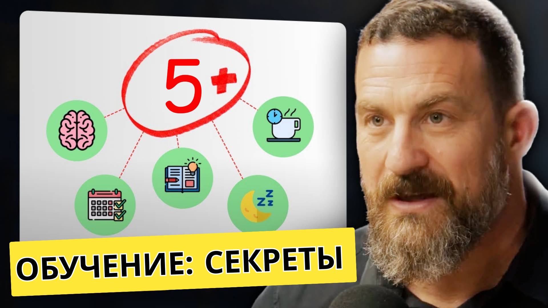Как я учусь лучше, а не сложнее. 10 научно обоснованных советов. Эндрю Хуберман
