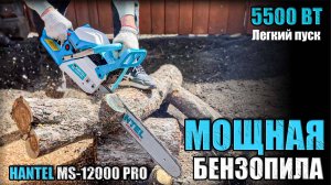 МОЩНЫЕ БЕНЗОПИЛЫ ДЛЯ ТОЛСТЫХ БРЕВЕН! ОБЗОР БЕНЗОПИЛЫ HANTEL MS-12000 PRO/ HANTEL MS-12000 HP КУПИТЬ