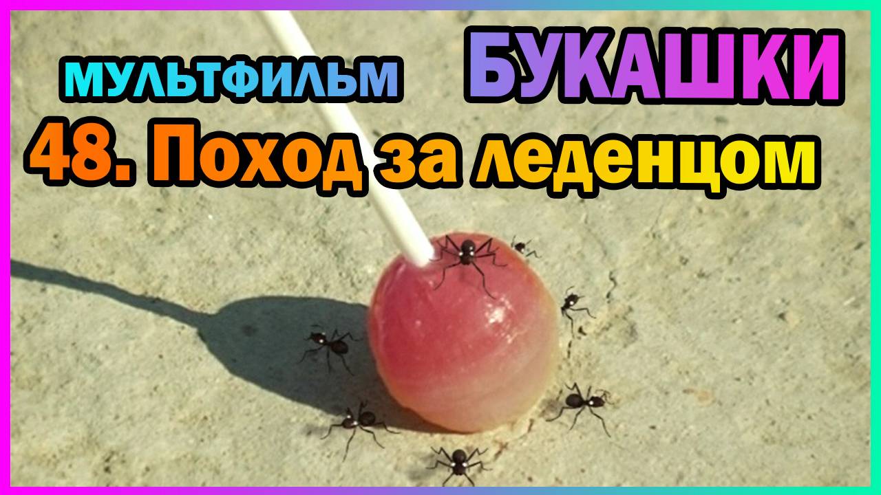 | Мультфильм | БУКАШКИ | 48. Поход за леденцом |
