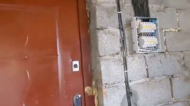 Наша стройка🏠/Подшиваем потолок часть первая 💪🏻