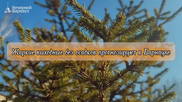 Жаркие выходные без осадков прогнозируют в Барнауле