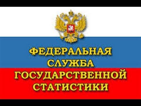 Отчетность ИП в органы статистики за 2015 год
