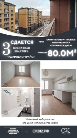 Санкт-Петербург, поселок Шушары, шоссе Колпинское, д 40 к1