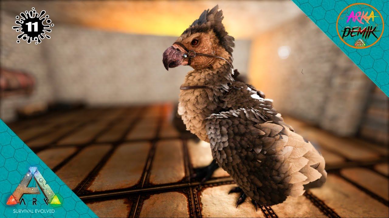 Это мне поможет выжить на карте Island в мире Survival Evolved [E11]