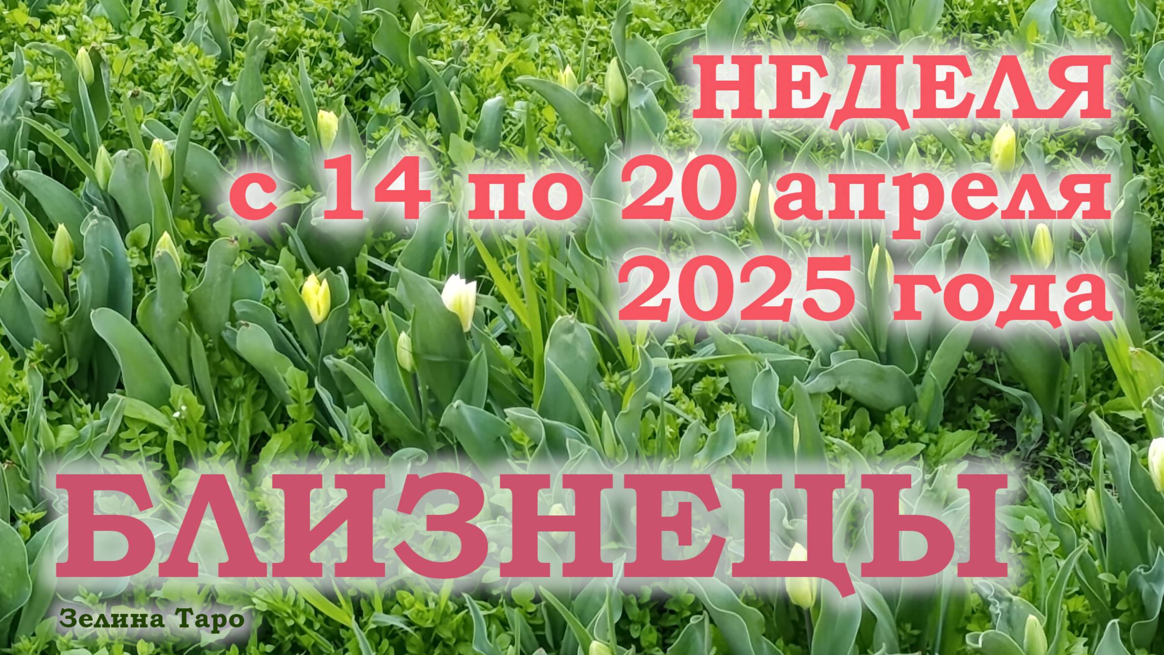 БЛИЗНЕЦЫ | ТАРО прогноз на неделю с 14 по 20 апреля 2025 года
