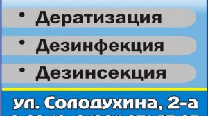 ООО "Дезинфектор": борьба с грызунами, насекомыми, возбудителями заразных болезней в Гатчине