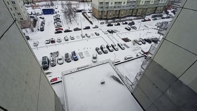 Петербург погодную эстафету от Москвы принял