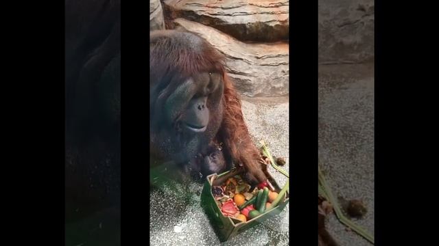 Захар обедает