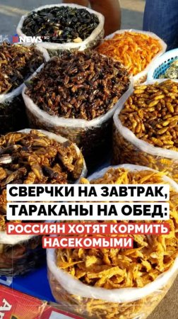 Еда будущего? Когда в России могут появиться продукты из насекомых