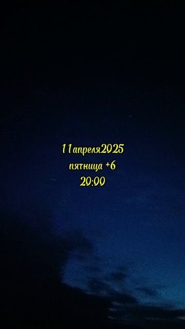 11-04-2025