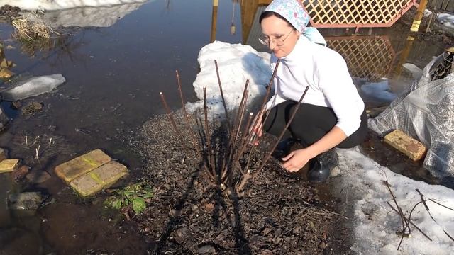 6 соток 11 апреля 2021 года. Хроника.