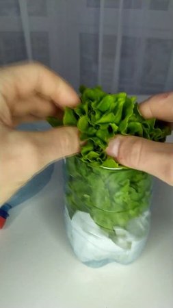 Зелень будет храниться до 1 месяца! Самый РАБОЧИЙ способ!