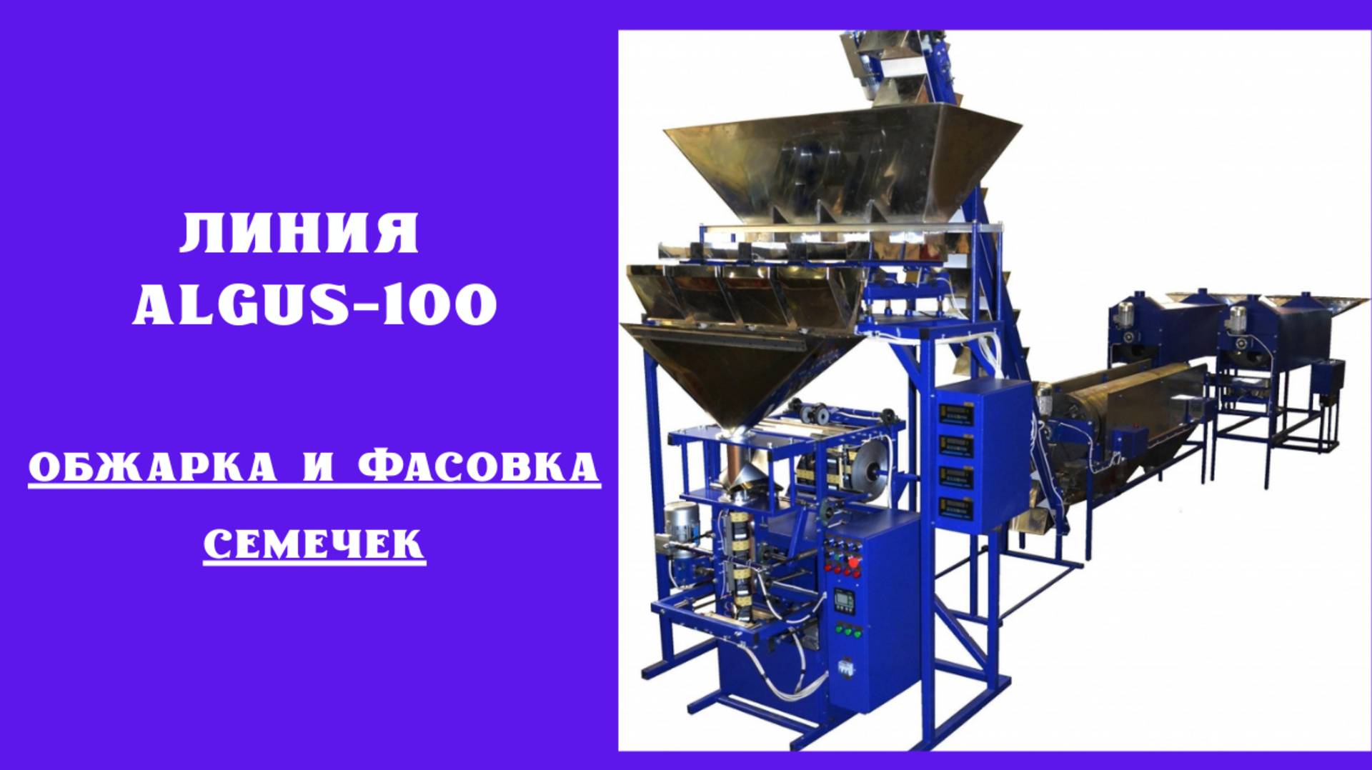 Печь жарочная электрическая PGP-100