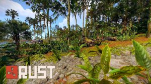 Rust Раст смотрим обновление май 2025! Новый биом ДЖУНГЛИ! Тигр пантера крокодил и новая РТ