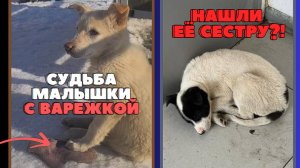 Никому ненужные, ищут семьи