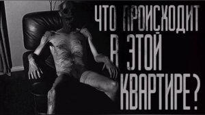 что происходит в этой квартире бусти кот бегемот