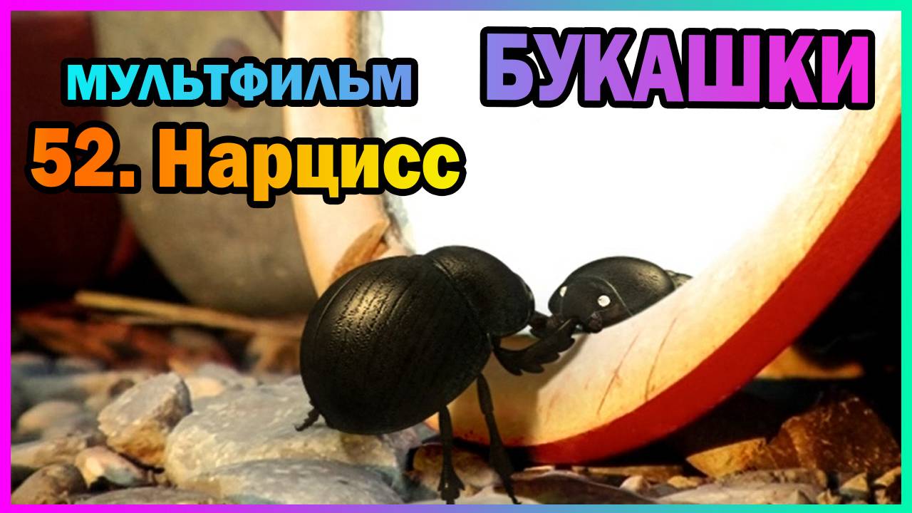 | Мультфильм | БУКАШКИ | 52. Нарцисс |