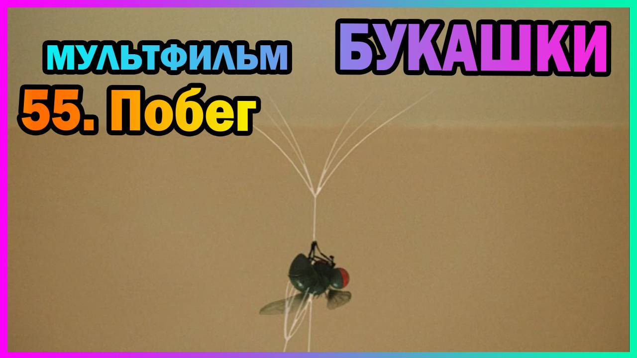 | Мультфильм | БУКАШКИ | 55. Побег |