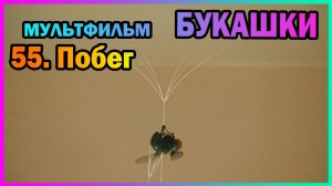 | Мультфильм | БУКАШКИ | 55. Побег |