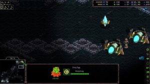 Flash пытается придумать НОВУЮ СТРАТЕГИЮ против Чемпиона АСЛ  ТОП Протосса Mini в Старкрафт Брудвар