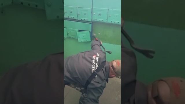 План добрых дел на эту неделю - выполнен!
