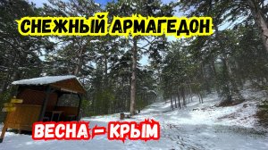 КРЫМ! Снежный Армагедон, 12 Апреля. Ялта сегодня. Такого давно не было! Долоссы, горы, лес, отдых