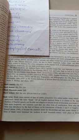 What is blank verse?