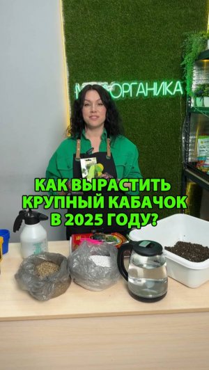 Как вырастить крупный кабачок в 2025 году