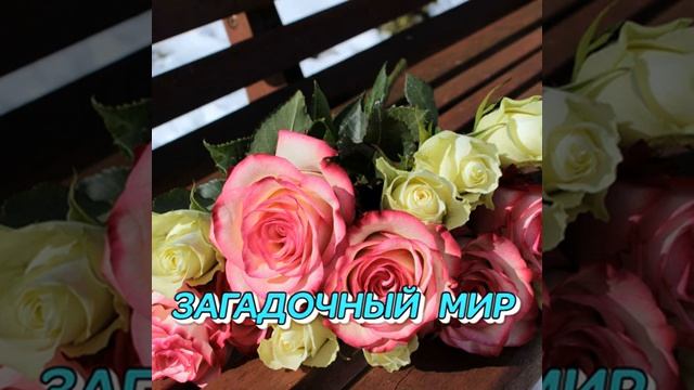 ЗАГАДОЧНЫЙ МИР Музыка Сергей Грищук