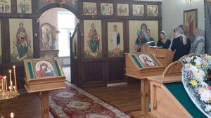 Вход Господень во Иерусалим, Вербное Воскресение 2025г. Литургия в храме св.вмч. Димитрия Солунского