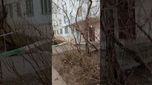 ул. Красный Казанец, 7, ст 11.6 с ремонтом Авито