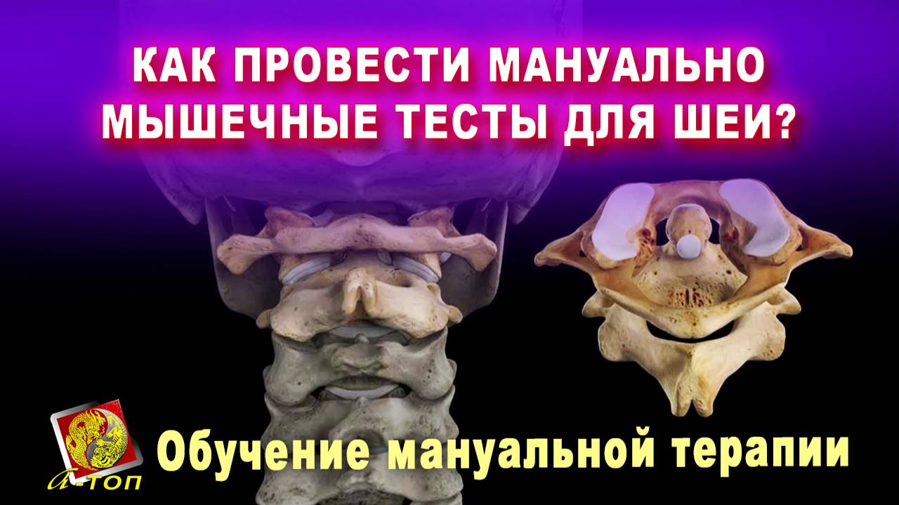 Как произвести мануальное тестирование и правку шейных позвонков и Атланта. Обучение костоправству.