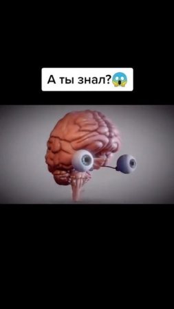 Было? #иллюзия #наука #вау #мифы #удивительныеистории