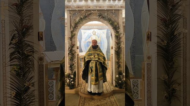Какой мир выбрать: мир радости земной или мир духовный