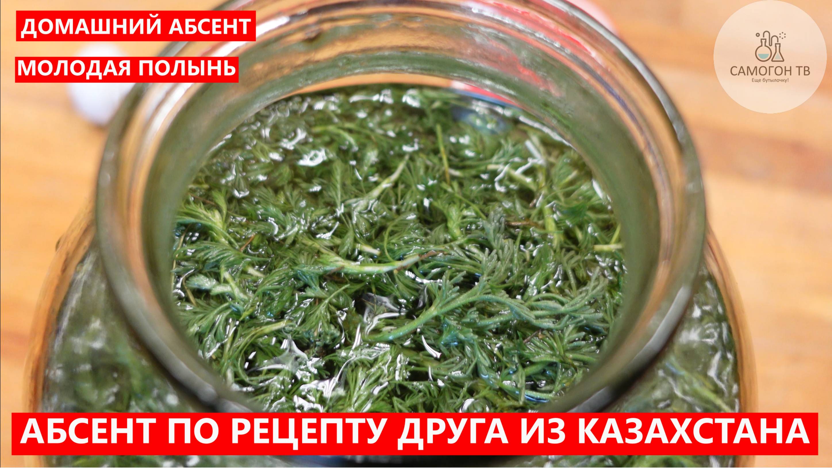 АБСЕНТ КАЗАХСТАНСКИЙ. Делаю Абсент на молодой полыни из Казахстана по рецепту друга #АБСЕНТ #ДОМА