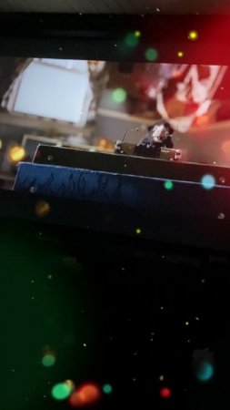 Морская свинка и машинка на пульте управления ✨
