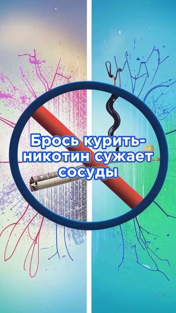 Давление в норме