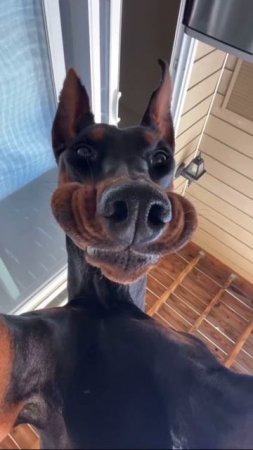 Милота🤗