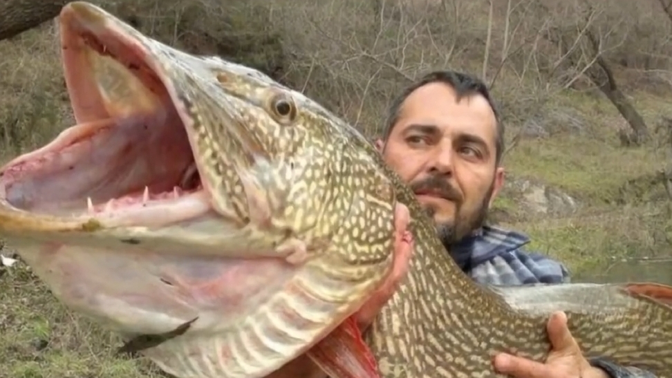 11 СПОСОБОВ ПОЙМАТЬ ЩУКУ!  🐠🐋🐟