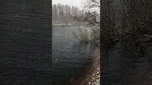 На лесной речке в единственный выходной. Рыбалка.