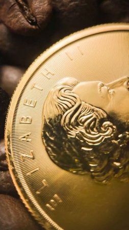 🟡 Moneda de Oro Maple Leaf 2022 1 oz