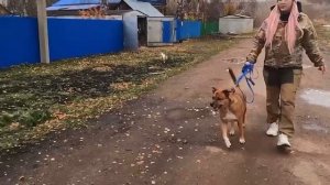Веселина Черданцева снайпер ДНР