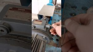 Маслопресс шнековый для отжима масла.