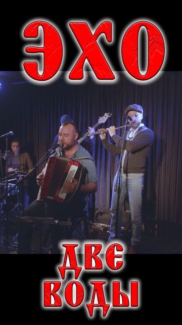 Душа моя чиста Концерт группы Эхо (Ehomusic) #ehomusic #shorts #двеводы #душамоячиста #livemusic