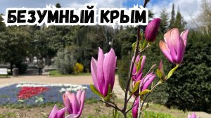 Наш Безумный КРЫМ. Хаос на Набережной. ЯЛТА сегодня. Вся Правда! Крым сегодня