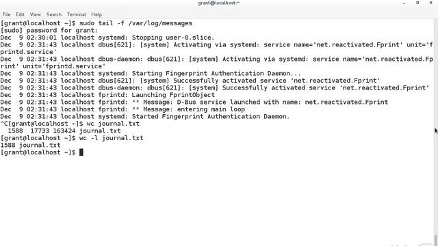 linux-system-information-and-directory-structure-tools-en