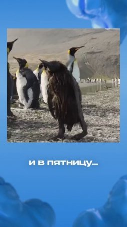 Стоматолог в понедельник vs Стоматолог в пятницу